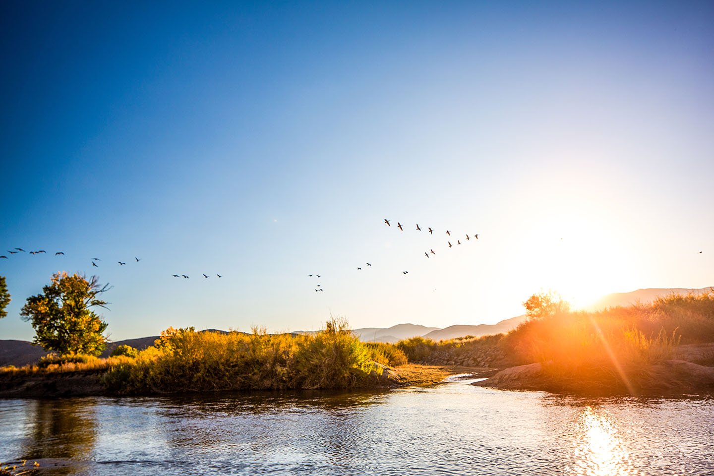 Carson River - Visit Carson City