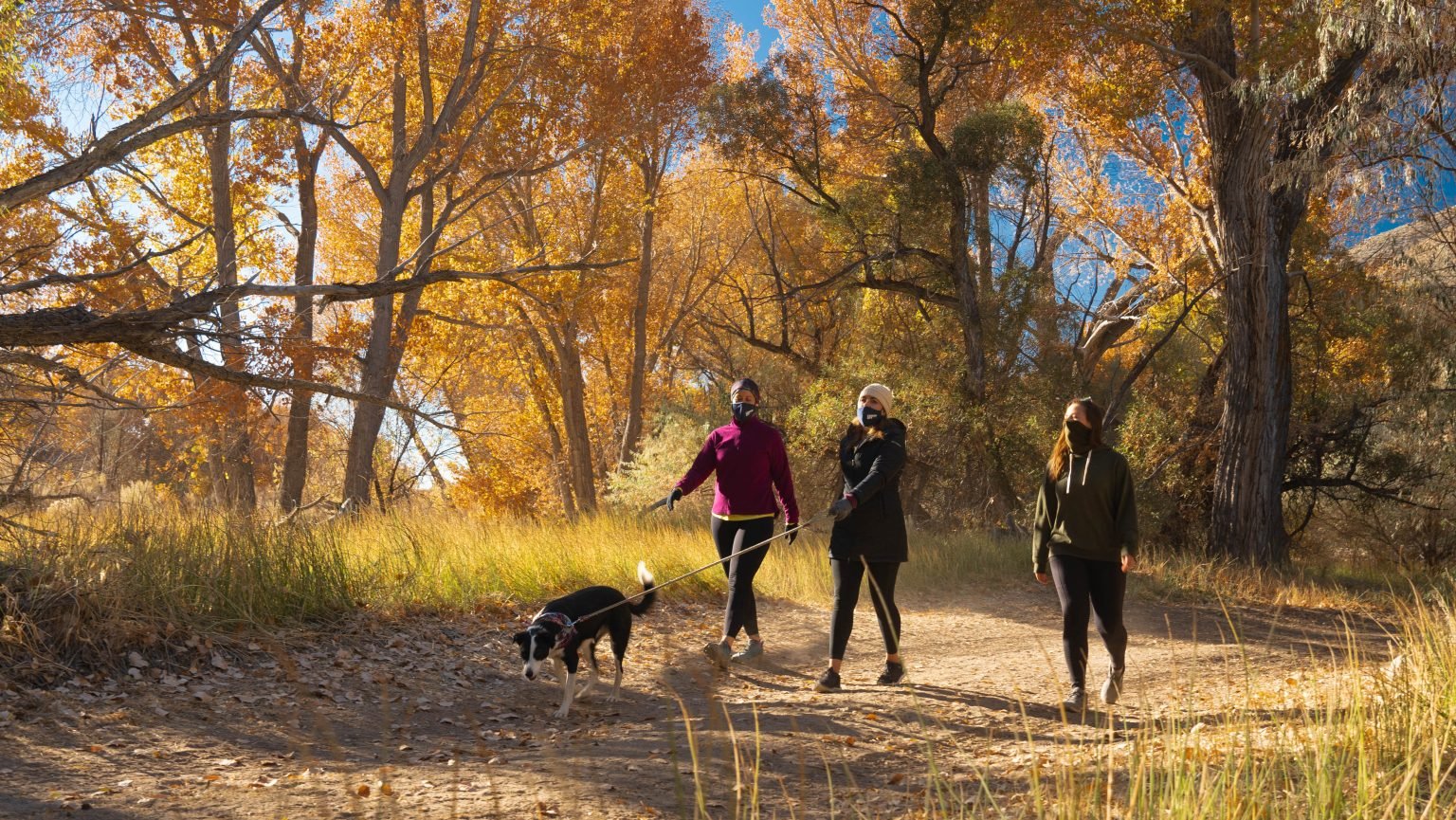 East Silver Saddle Ranch - Visit Carson City