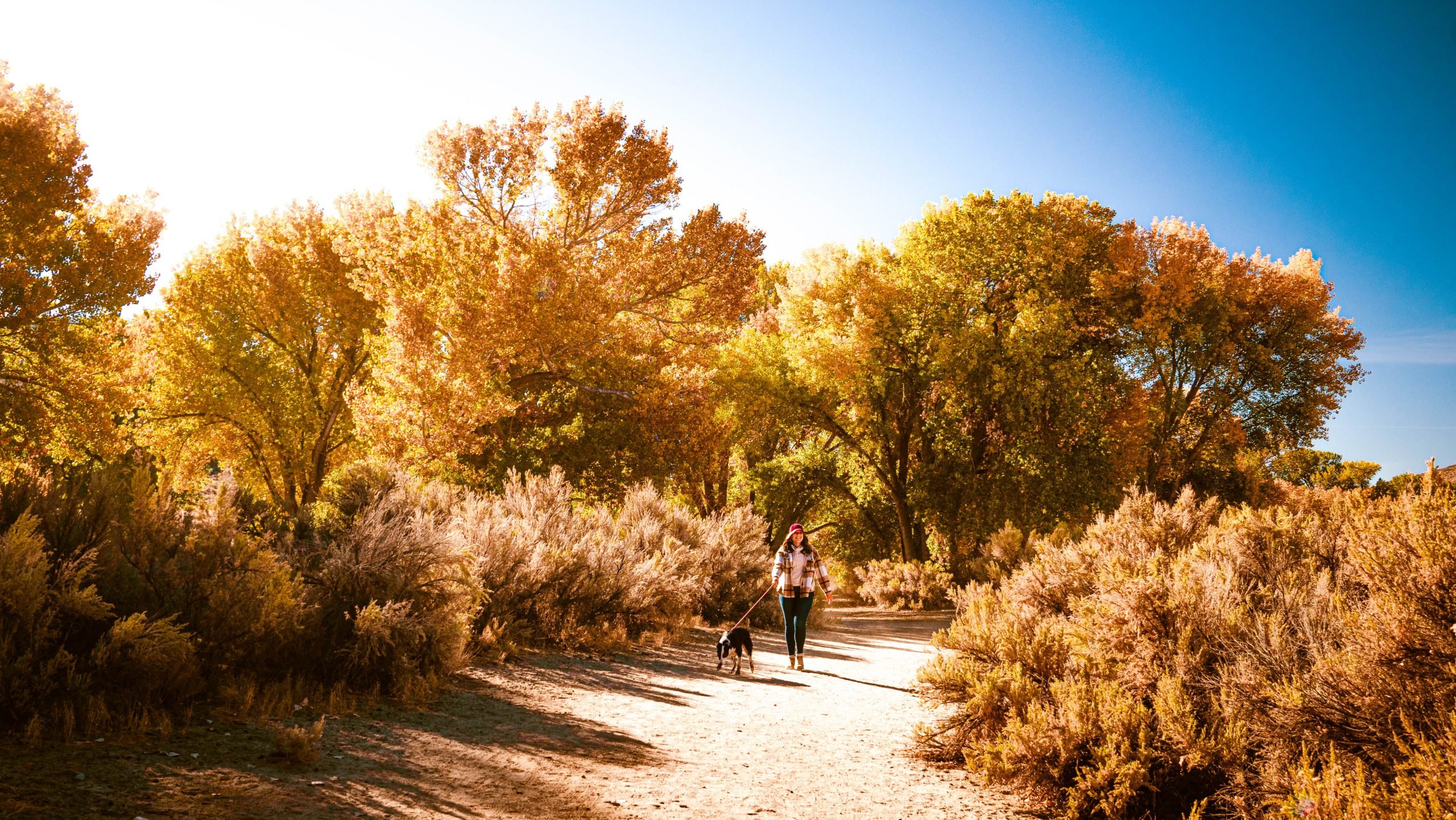 Carson River Park - Visit Carson City