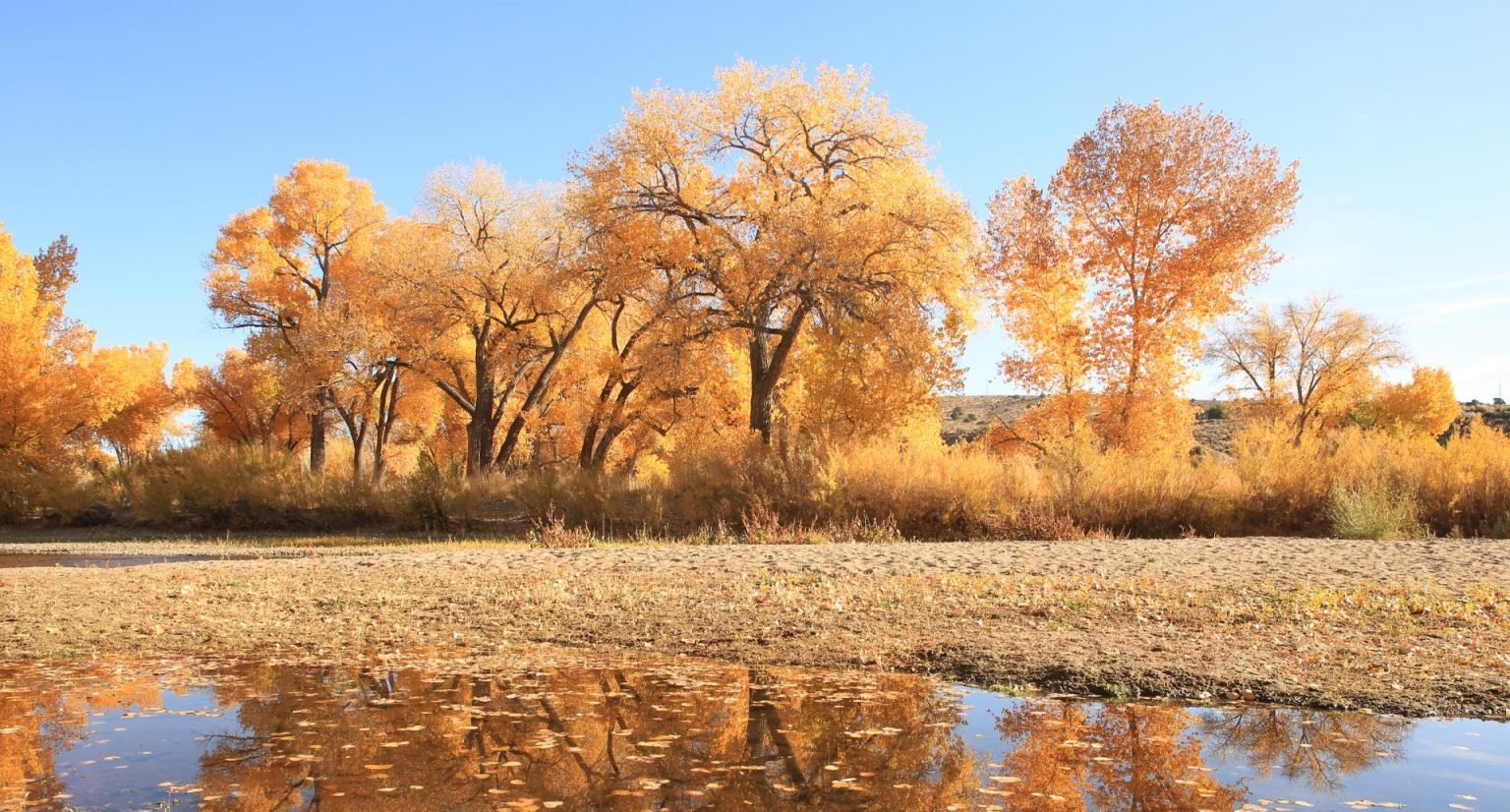 Riverview Park - Visit Carson City