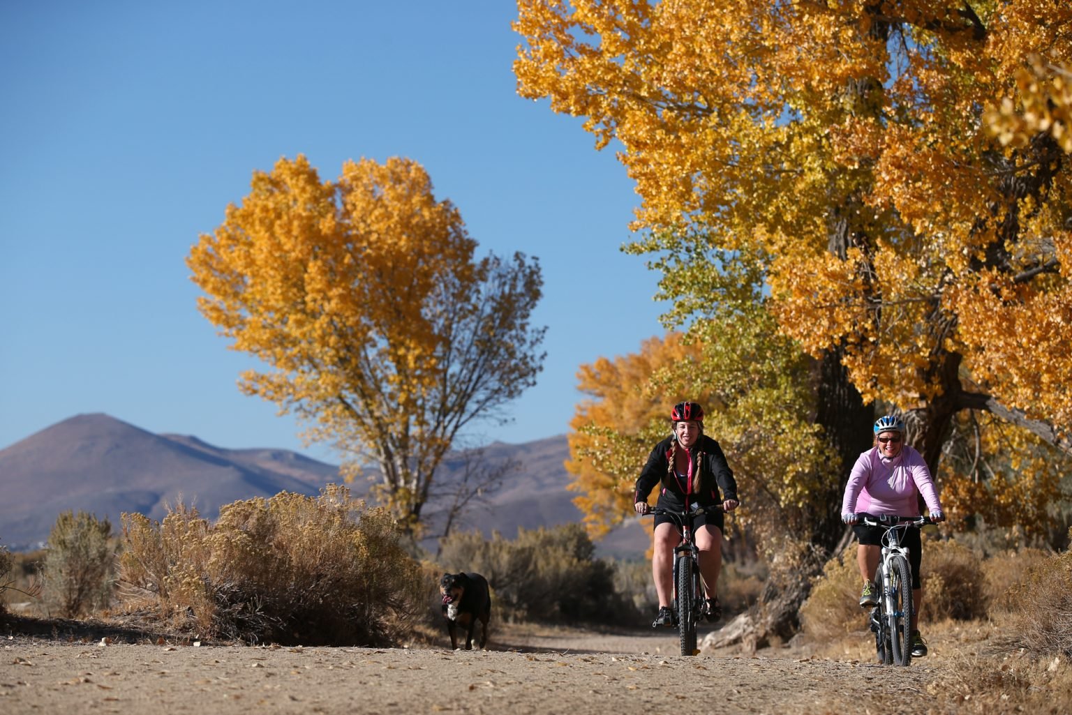 Mexican Dam - Visit Carson City