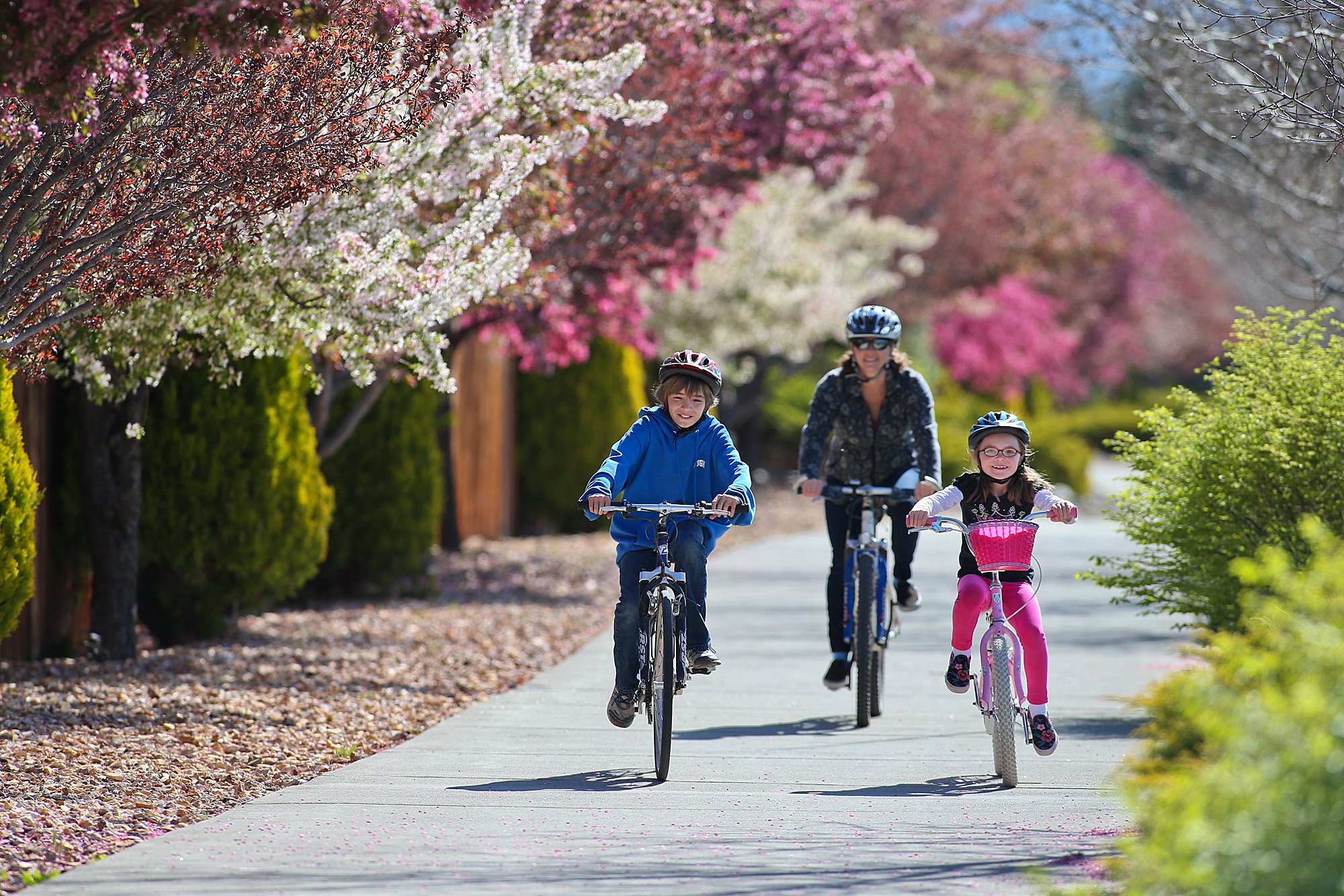 Carson City's Best Places To See Spring Blossoms - Visit Carson City