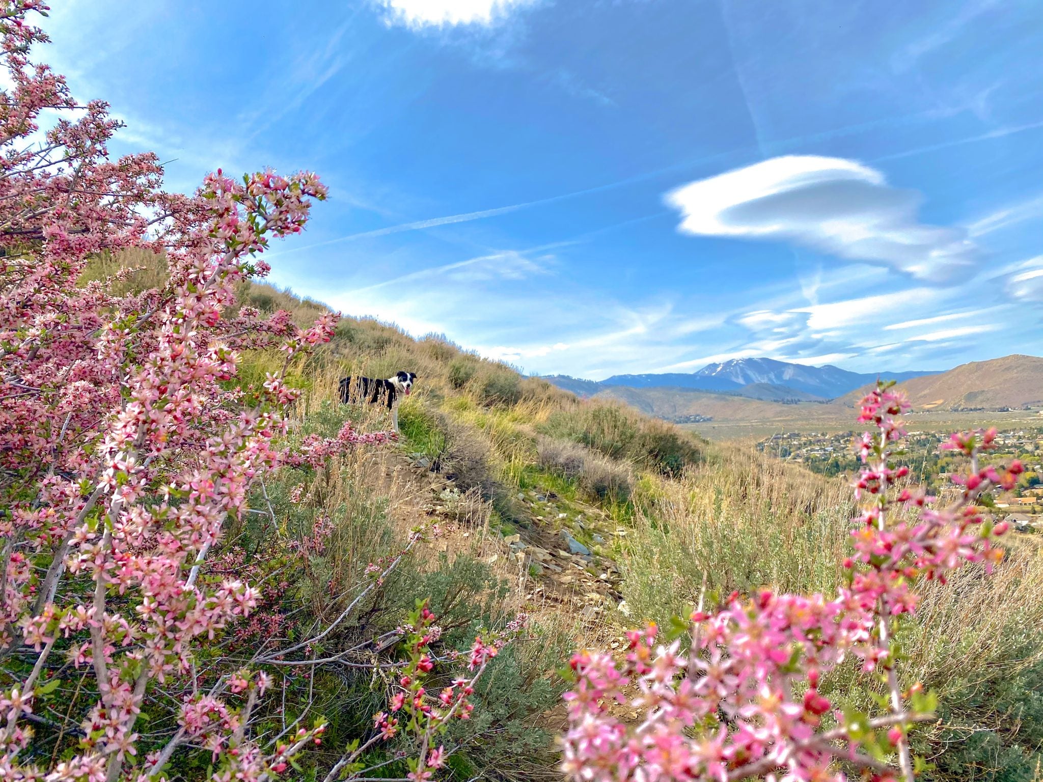 Capital City Insider Blog | Carson City Travel Articles, Info & Travel Tips