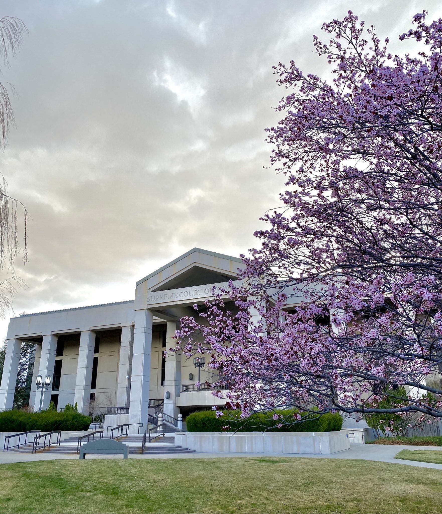 Carson City's Best Places To See Spring Blossoms - Visit Carson City