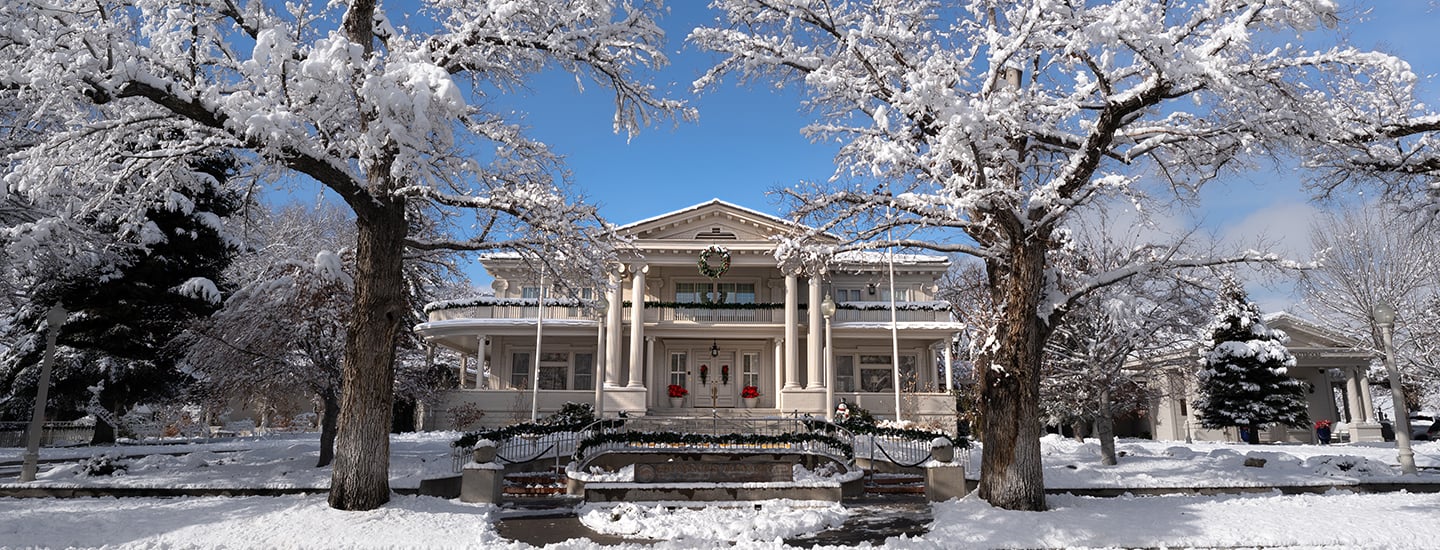 A Winter's Charm In Carson City