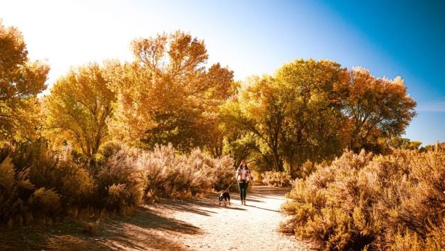 Nevada State Prison Tours - Visit Carson City